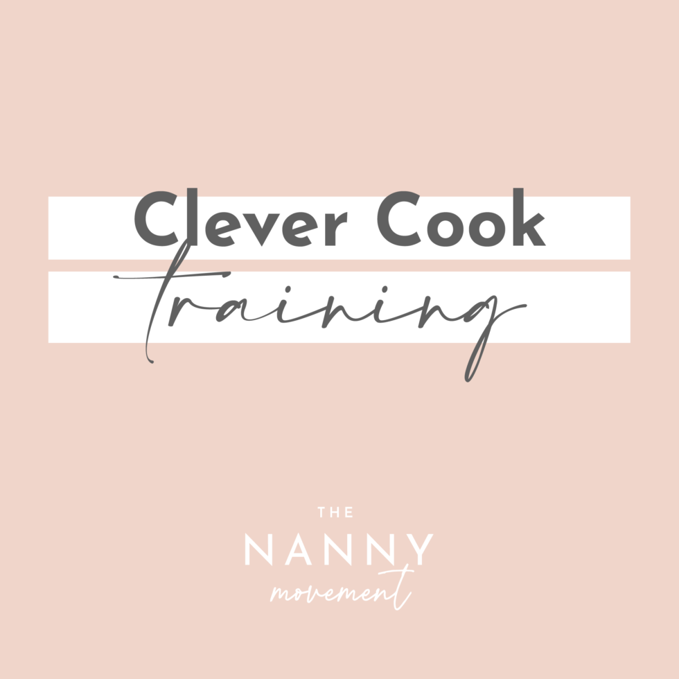 Private Nanny Training - The Nanny Movement