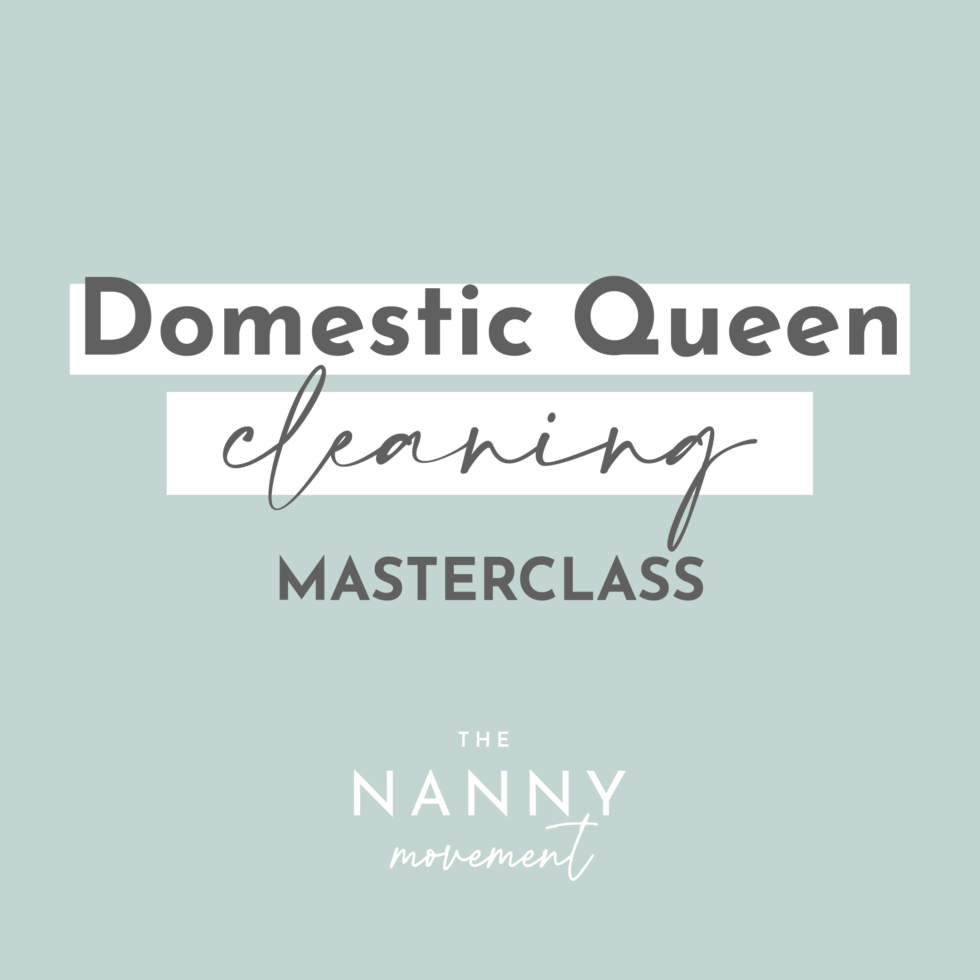 Private Nanny Training - The Nanny Movement